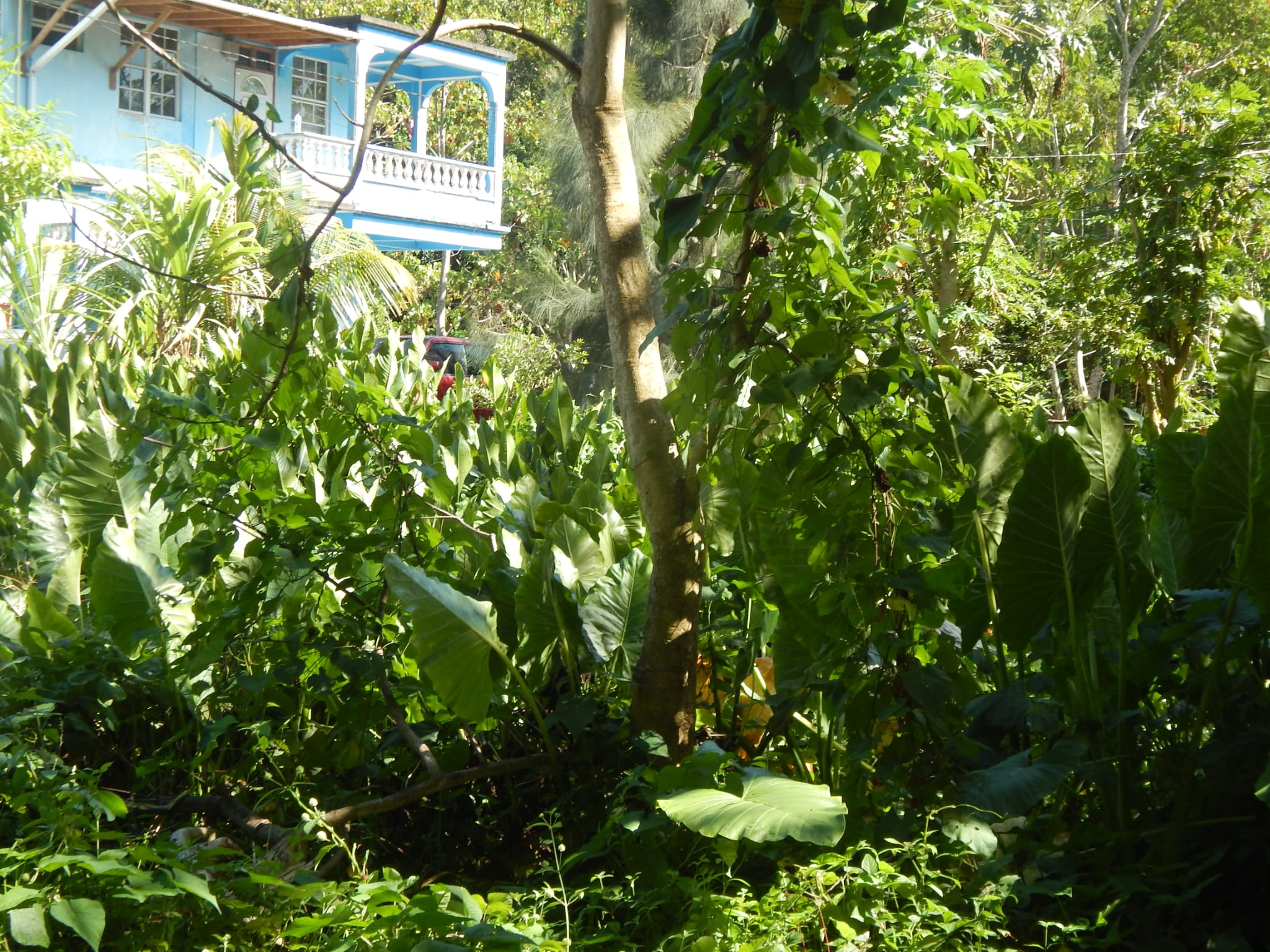 Land for Sale at Jimmit, Resource Estate – Pedro's Prime Solutions