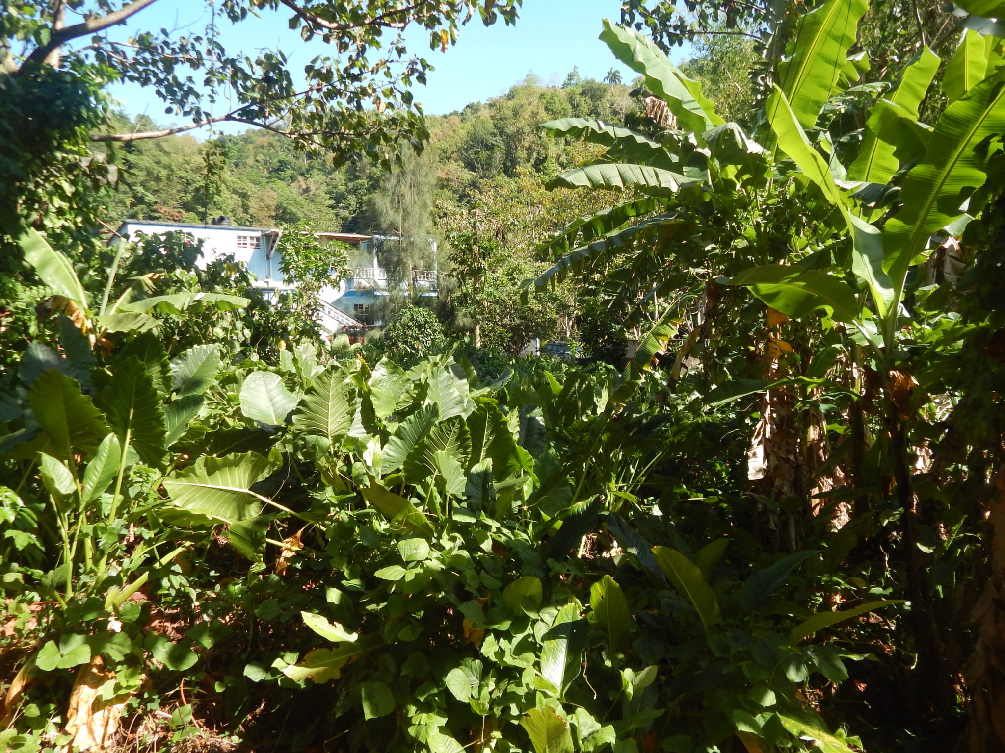 Land for Sale at Jimmit, Resource Estate – Pedro's Prime Solutions
