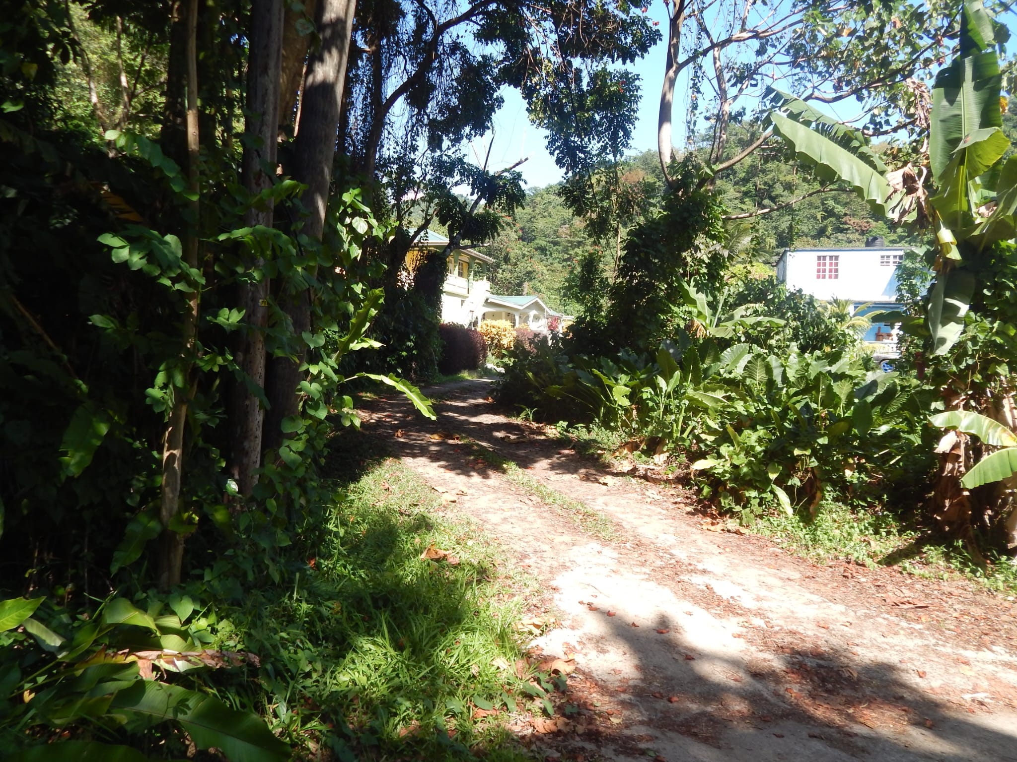 Land for Sale at Jimmit, Resource Estate – Pedro's Prime Solutions