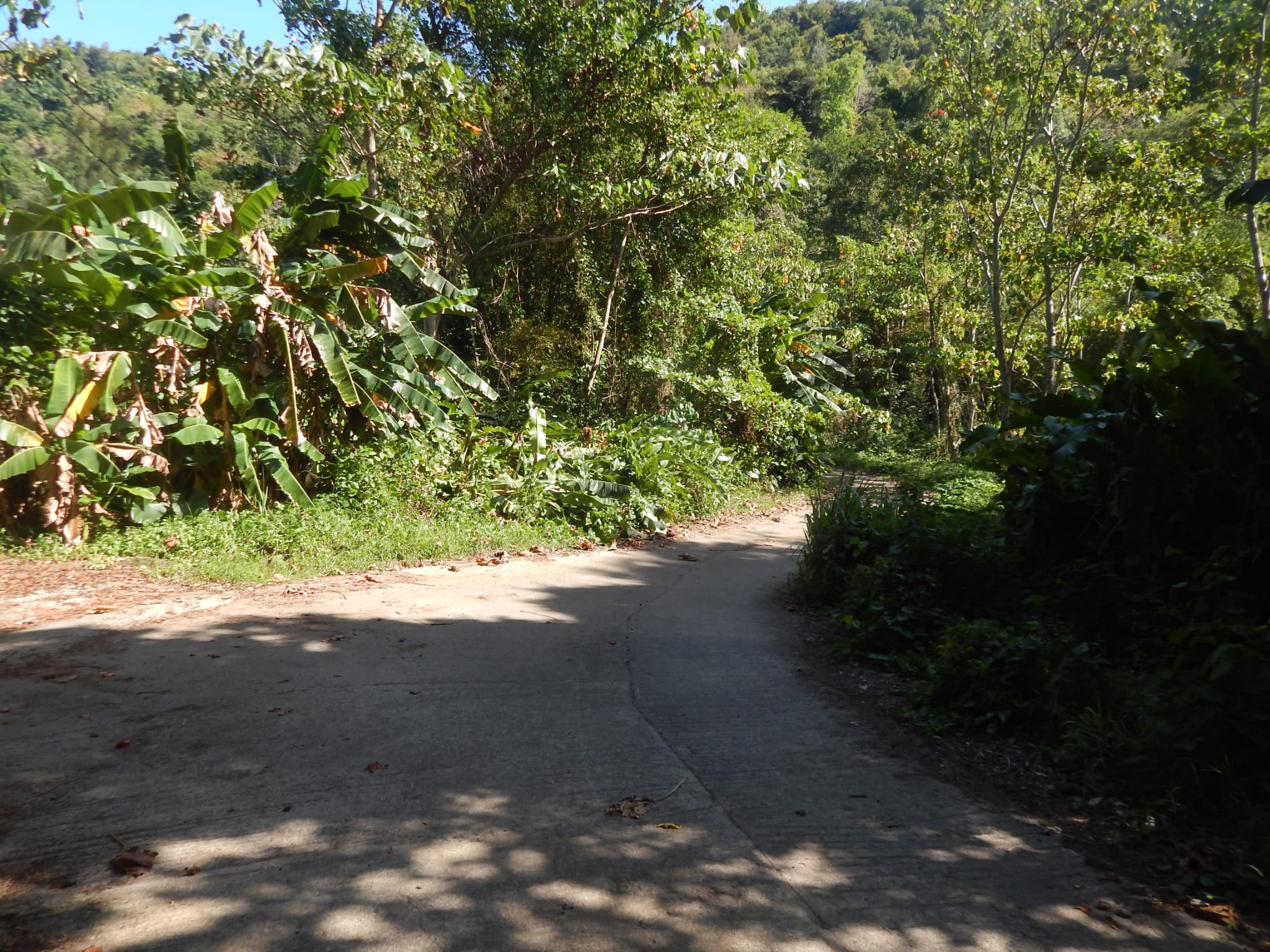 Land for Sale at Jimmit, Resource Estate – Pedro's Prime Solutions