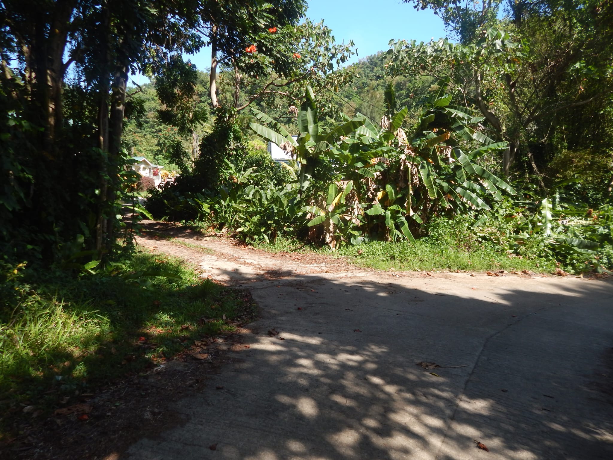 Land for Sale at Jimmit, Resource Estate – Pedro's Prime Solutions